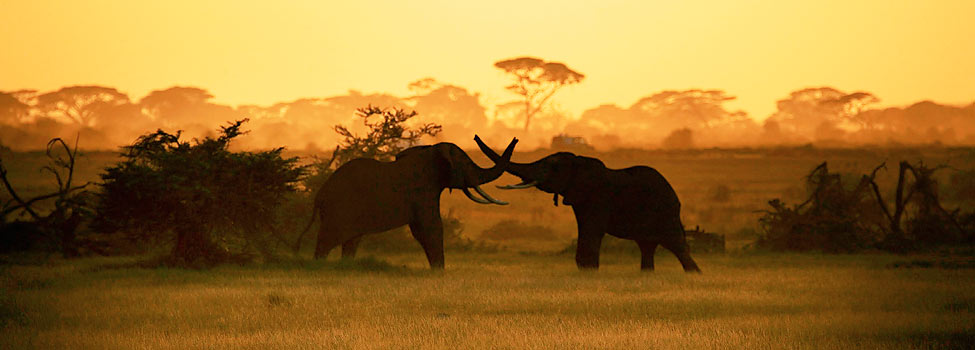 Resor till Afrika - Boka din resa hos Ving